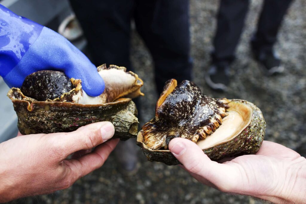 Unveiling The Delicate Flavors: What Does Abalone Taste Like? | Eat ...