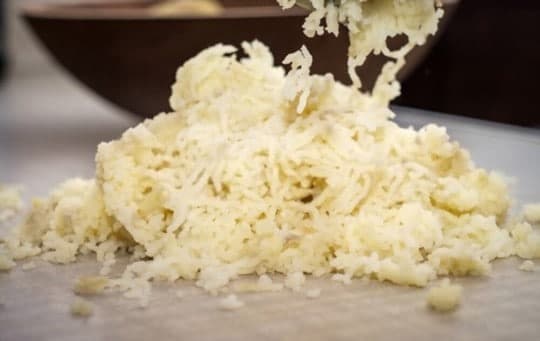 The 5 Best Alternatives For Potato Ricer | EatDelights